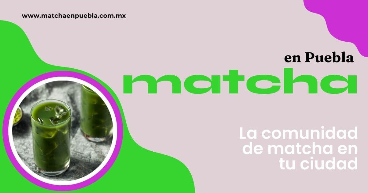 Matcha en Puebla | La comunidad para amantes del Matcha